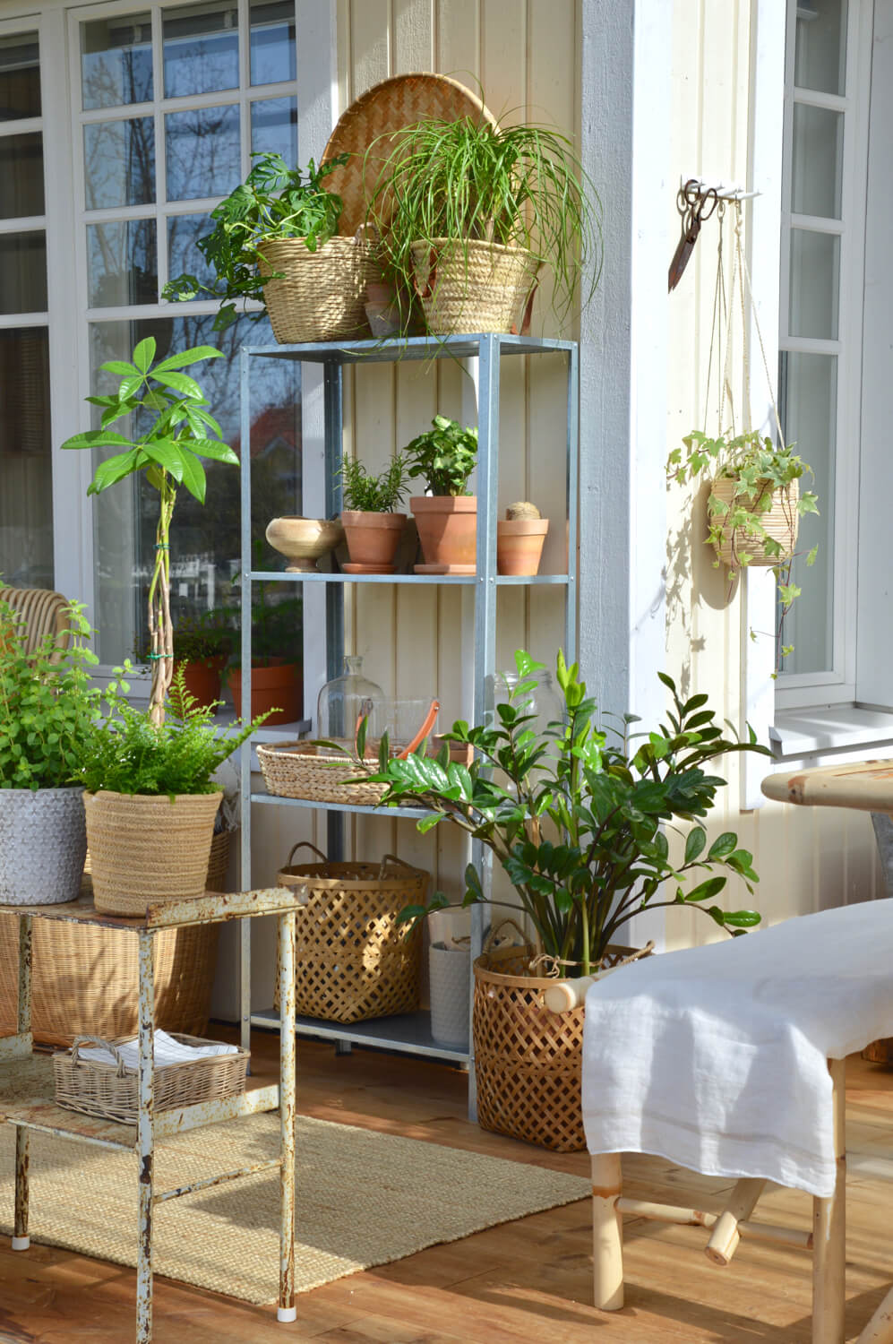 Sisusta viherkasveilla viihtyisä terassi tai parveke - Viherpeukalot Blogi